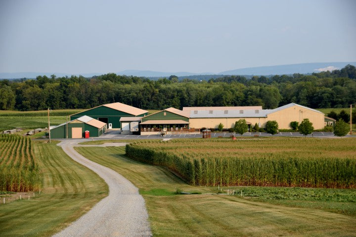 Life on the gourd farm in challenging times – Meadowbrooke Gourds