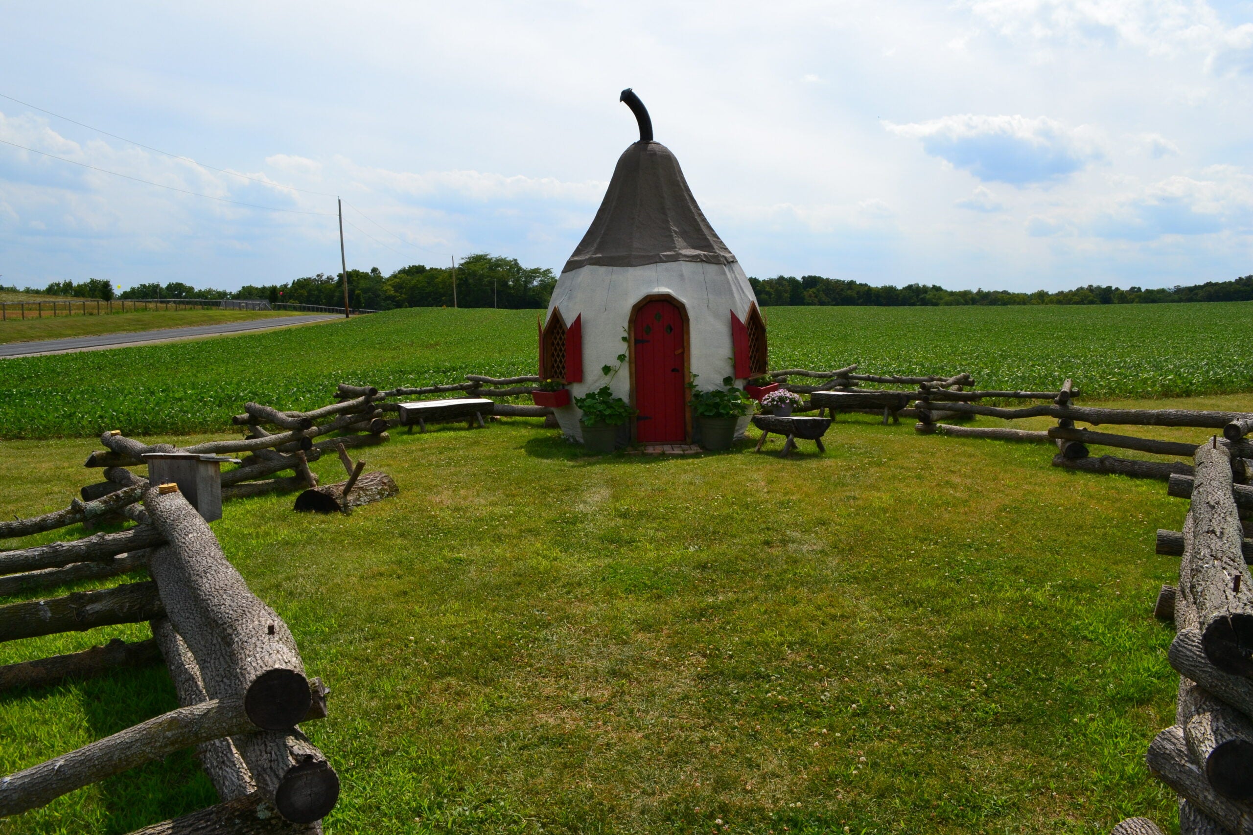 Gourd Growing Time Lapse – Meadowbrooke Gourds