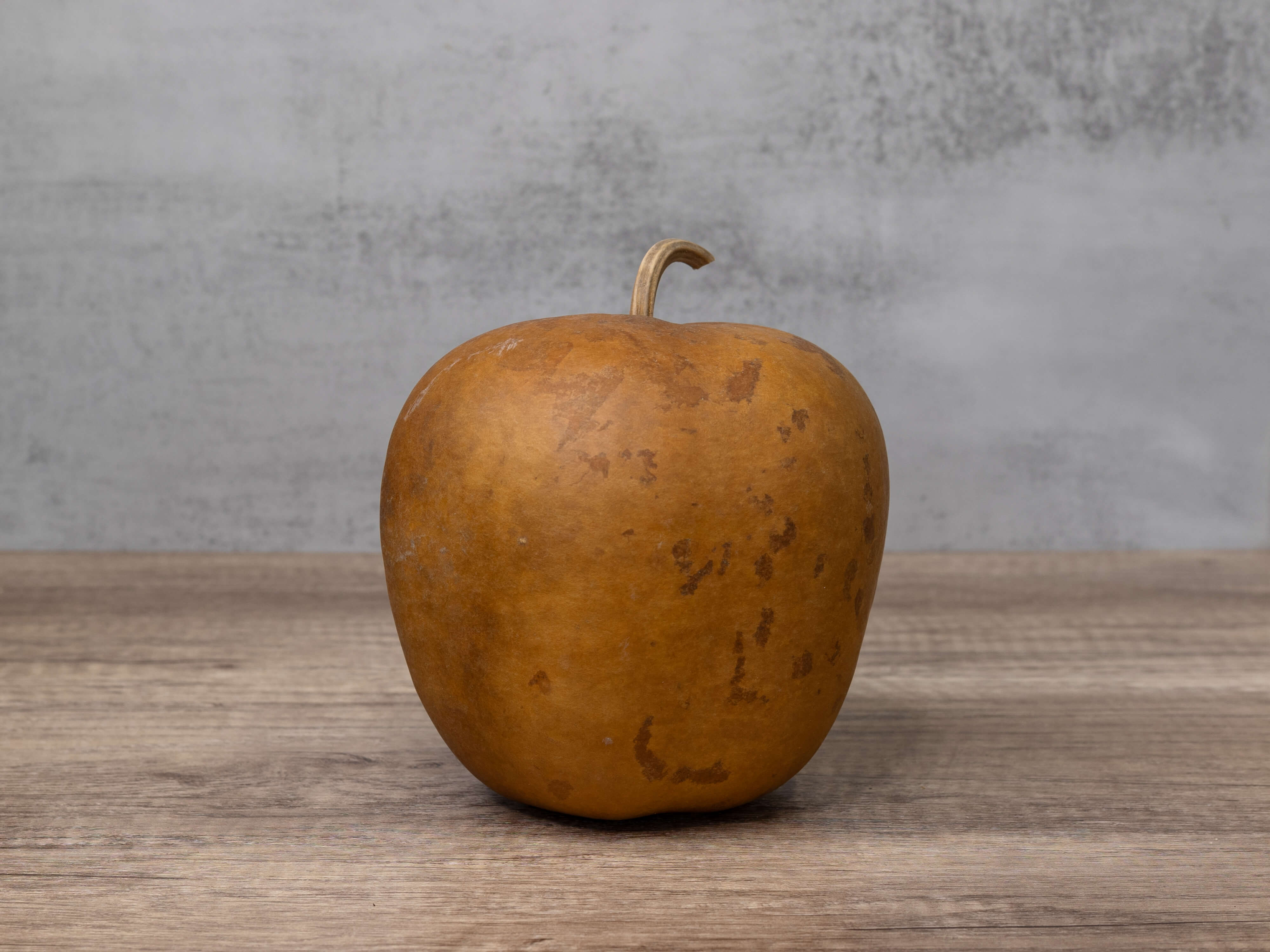 Apple Gourds – Meadowbrooke Gourds