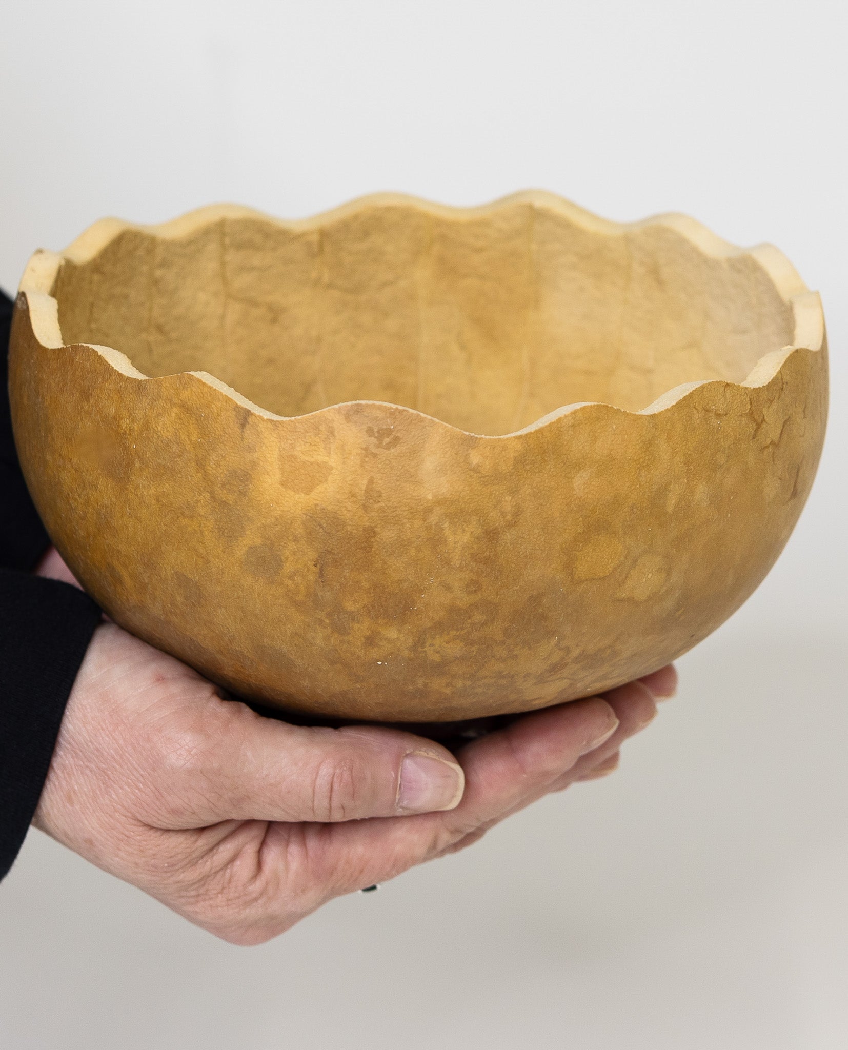 Raw 7 Inch Scalloped Cut Bowl – Meadowbrooke Gourds