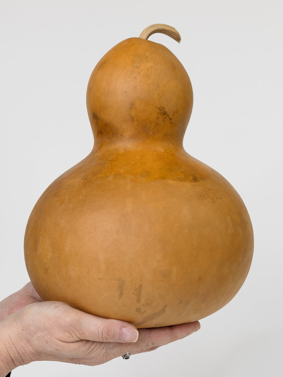 Dried Gourds – Page 2 – Meadowbrooke Gourds