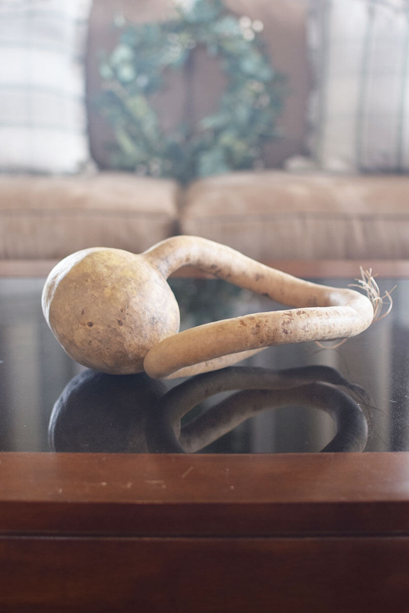 Extra Long Handled Dipper Gourd Seed – Meadowbrooke Gourds