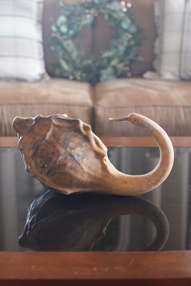 Hard Shell Gourd Seeds – Meadowbrooke Gourds