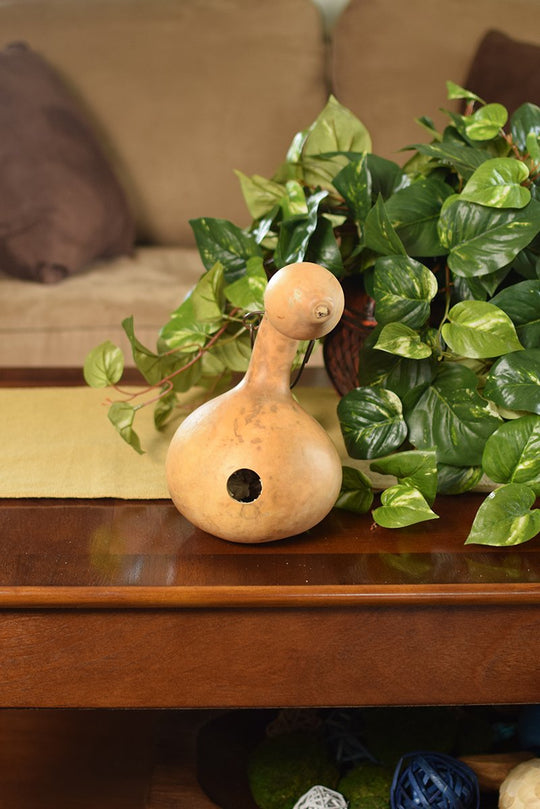 Hard Shell Gourds – Meadowbrooke Gourds