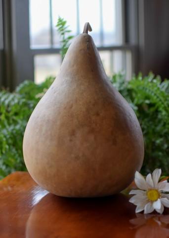 Hard Shell Gourds – Meadowbrooke Gourds